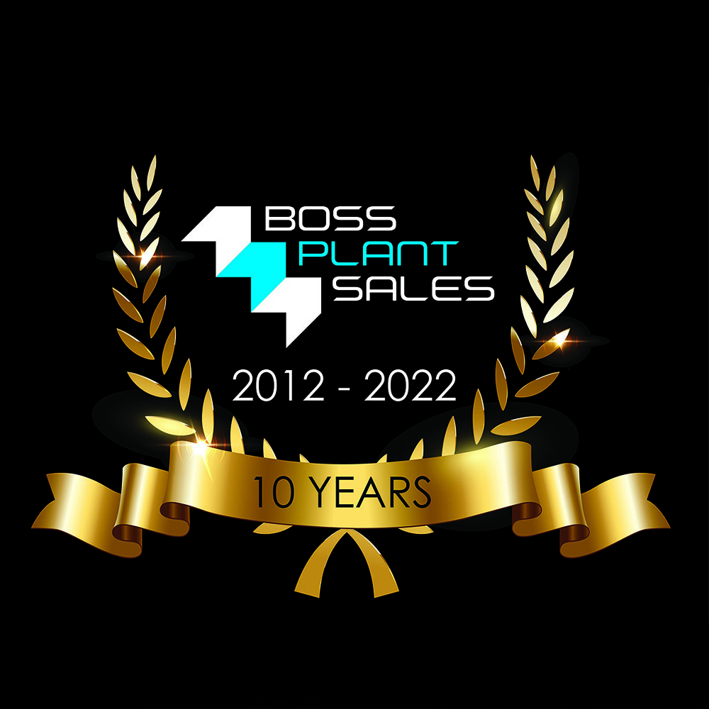 10TH ANNIVERSARY PART TWO ⋆ Boss Plant Sales