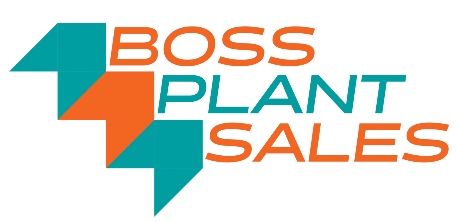 MARKET LEADING CONSTRUCTION PLANT ⋆ Boss Plant Sales