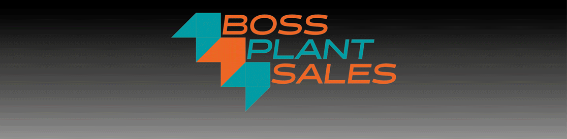 Current Stock New ⋆ Boss Plant Sales